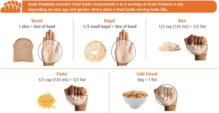 Simplifying Portion Sizes - healthy-starts-here.ca