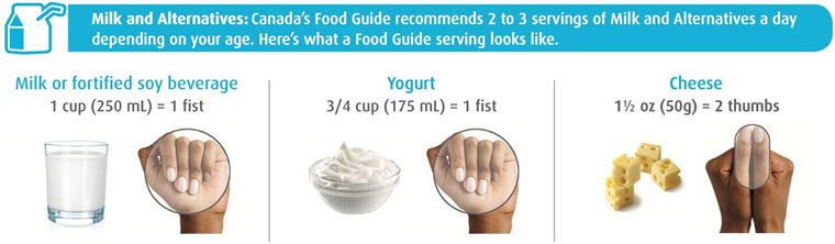 Simplifying Portion Sizes - healthy-starts-here.ca